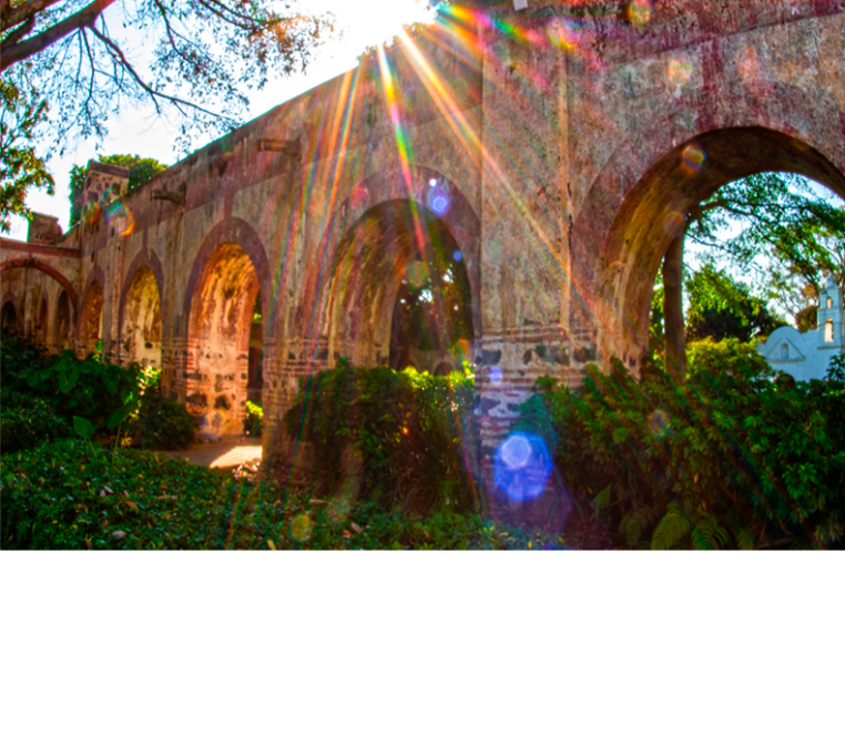 Actividades - Hacienda de Cocoyoc